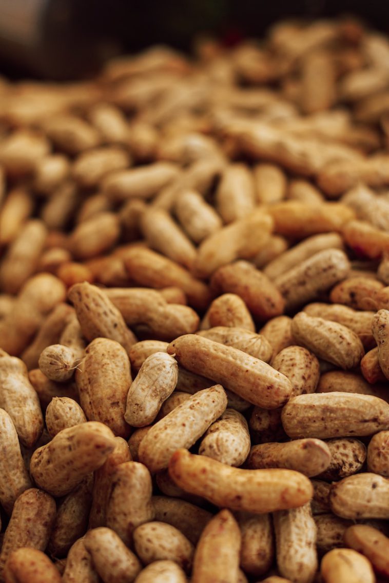 Coating and Roasting Exploring the Ingredients Used for Dry Roasted ...